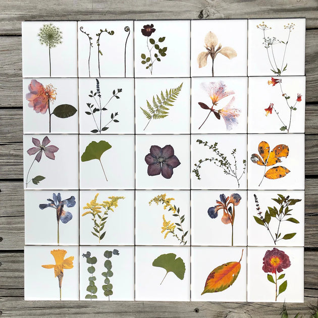 You Pick The Design - Garden Botanical Ceramic Tiles - 4.25" x 4.25" i ...