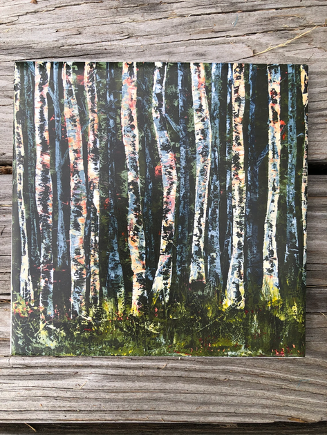 White Birch Trees Ceramic Tiles - Indoor and Outdoor Use ...
